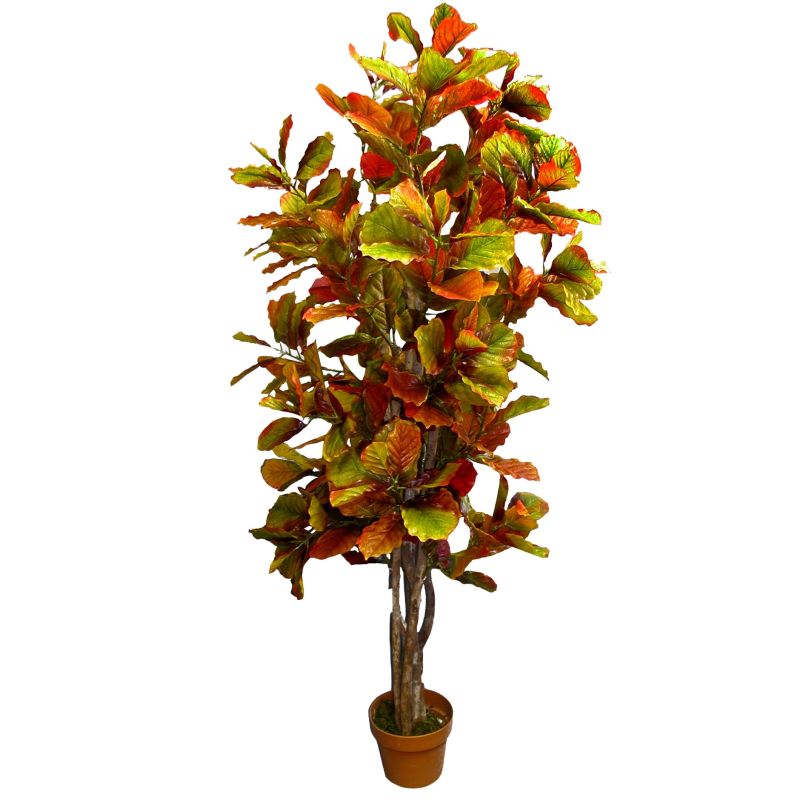 trioart.sk | Dub+kvetináč (, Stromy, bonsaje)