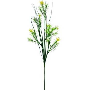 trioart.sk | Asparát (Umelé kvety, aranže, Sólo asparágus, trávy)